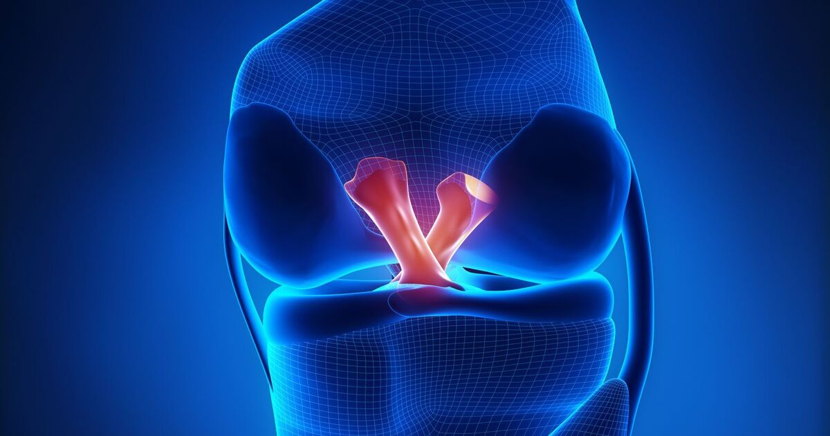 VŠE O KŘÍŽOVÝCH VAZECH | ORP centrum